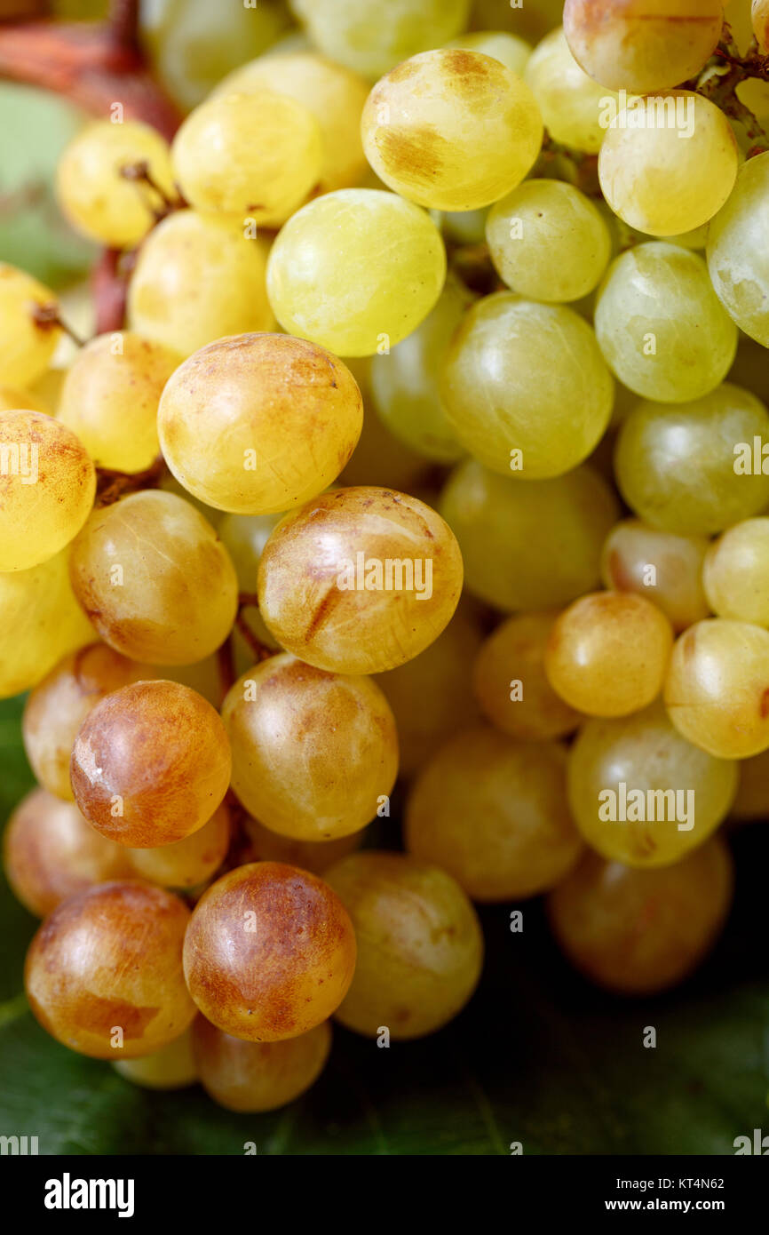 close up of fresh white grapes background Stock Photo - Alamy