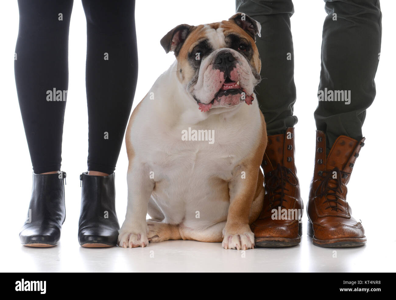 husband and wife with their bulldog on white background Stock Photo - Alamy