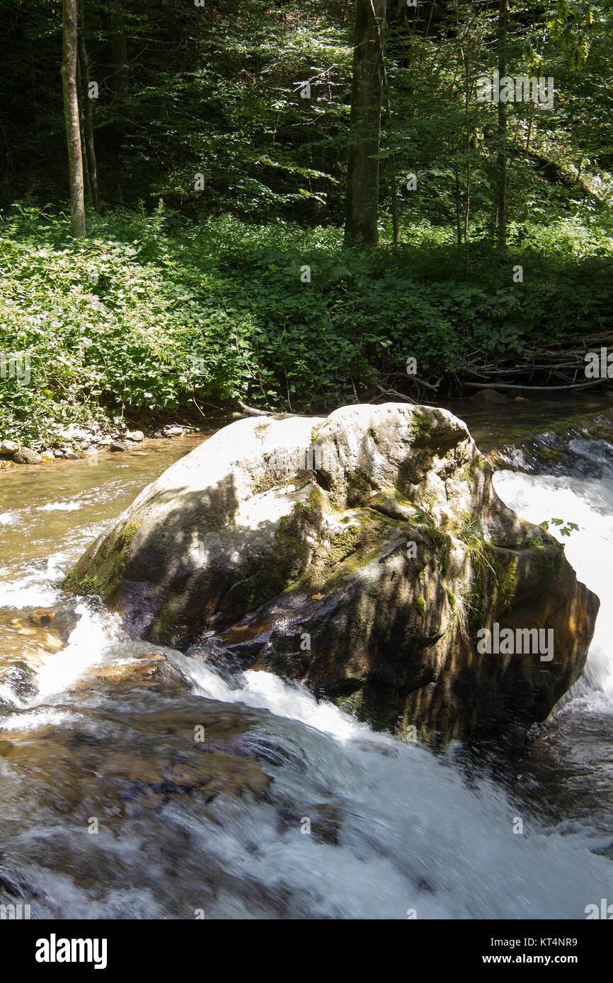 Großer Wasserfall in einem Wald in der Steiermark Stock Photo - Alamy