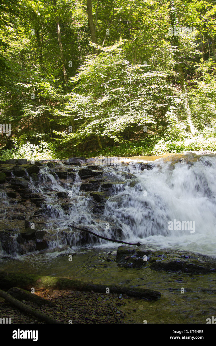 Großer Wasserfall in einem Wald in der Steiermark Stock Photo - Alamy