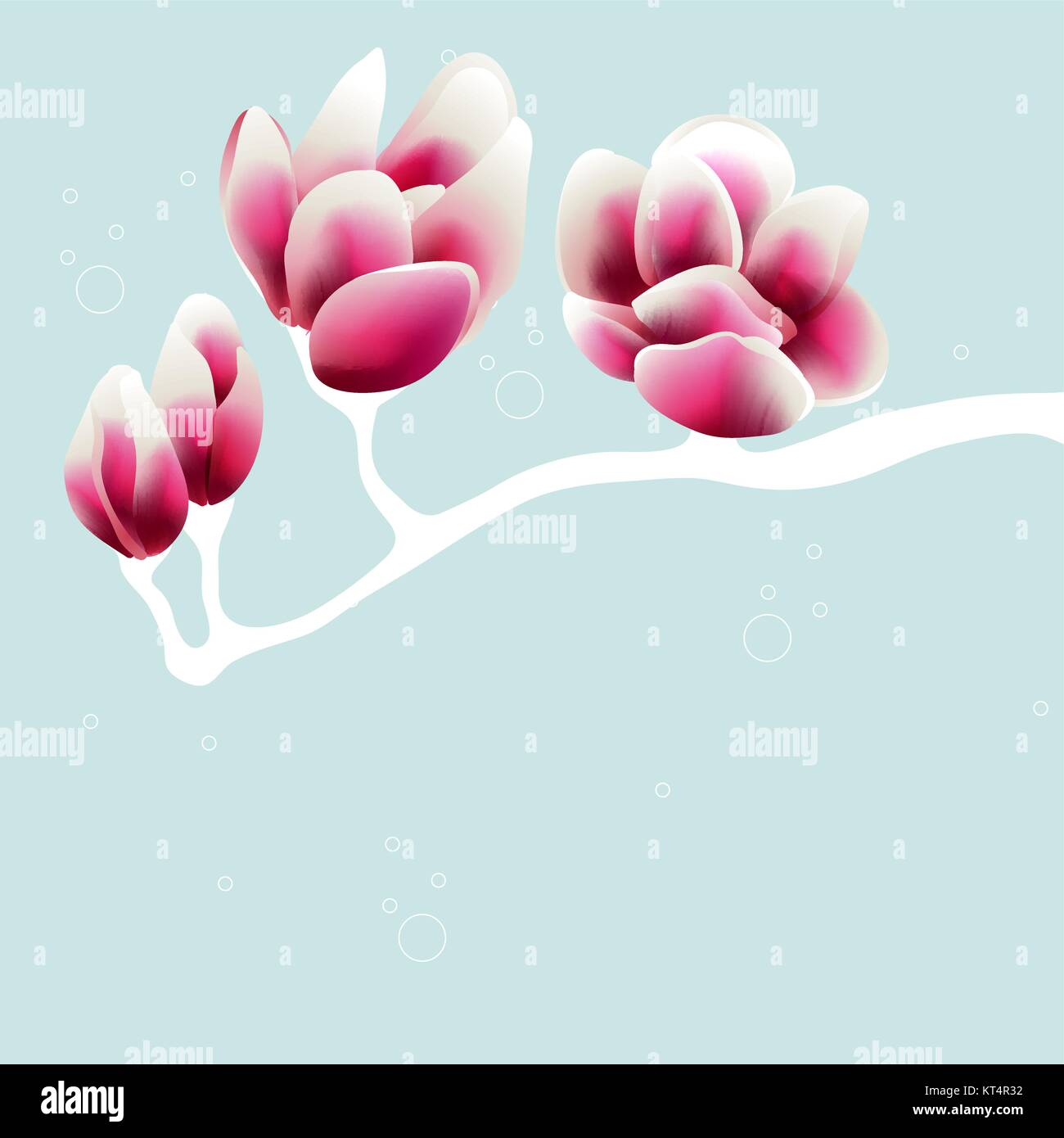 Spring background with blossom brunch Stock Vector Image & Art - Alamy