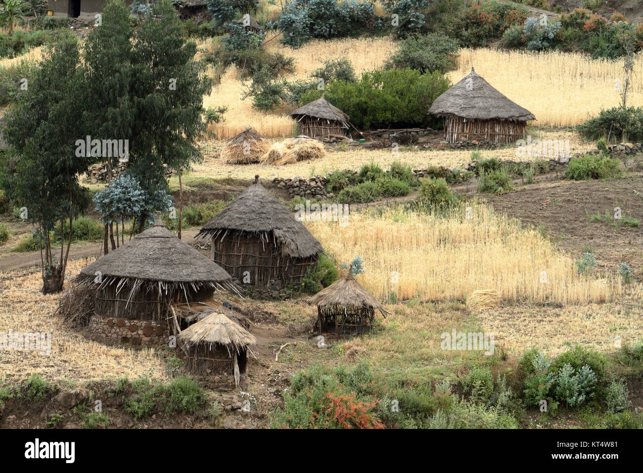 Villages and farms in Ethiopia Stock Photo - Alamy