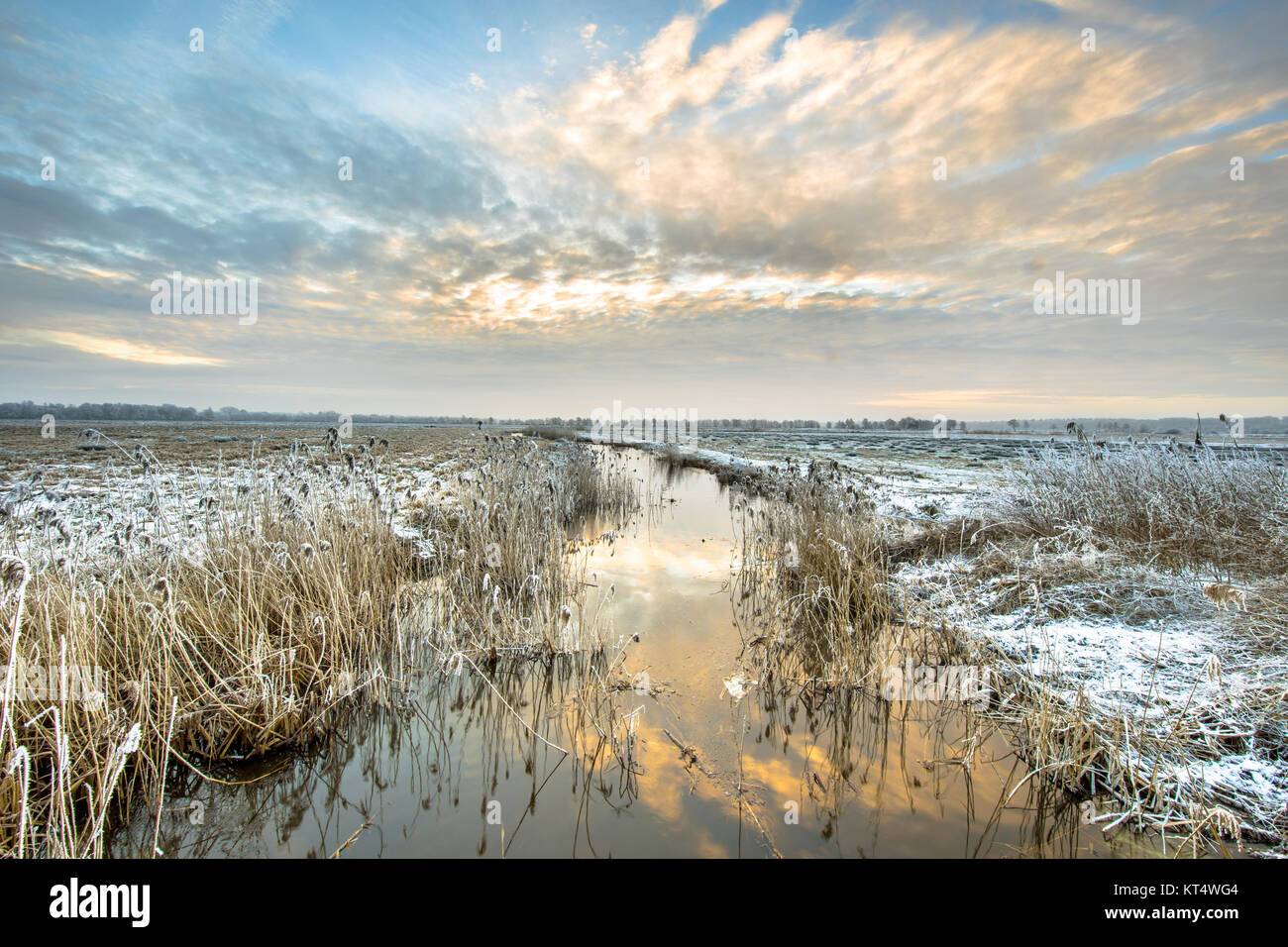 Frozen river Drentsche Aa in northern part of the province of Drenthe ...