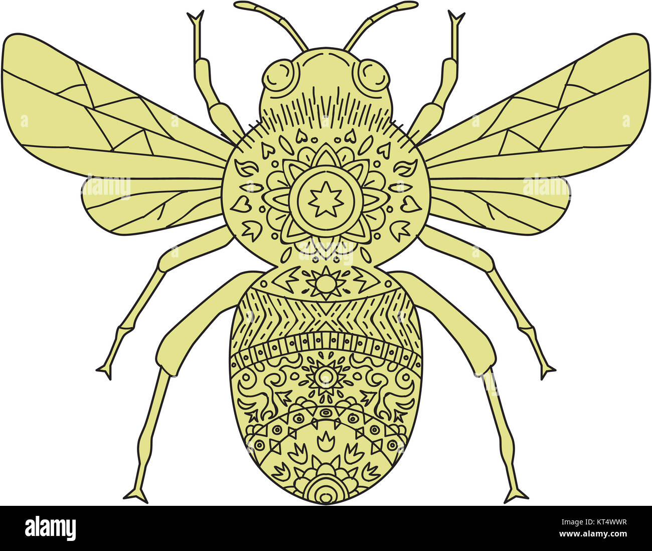 Bumble Bee Mandala Stock Photo - Alamy