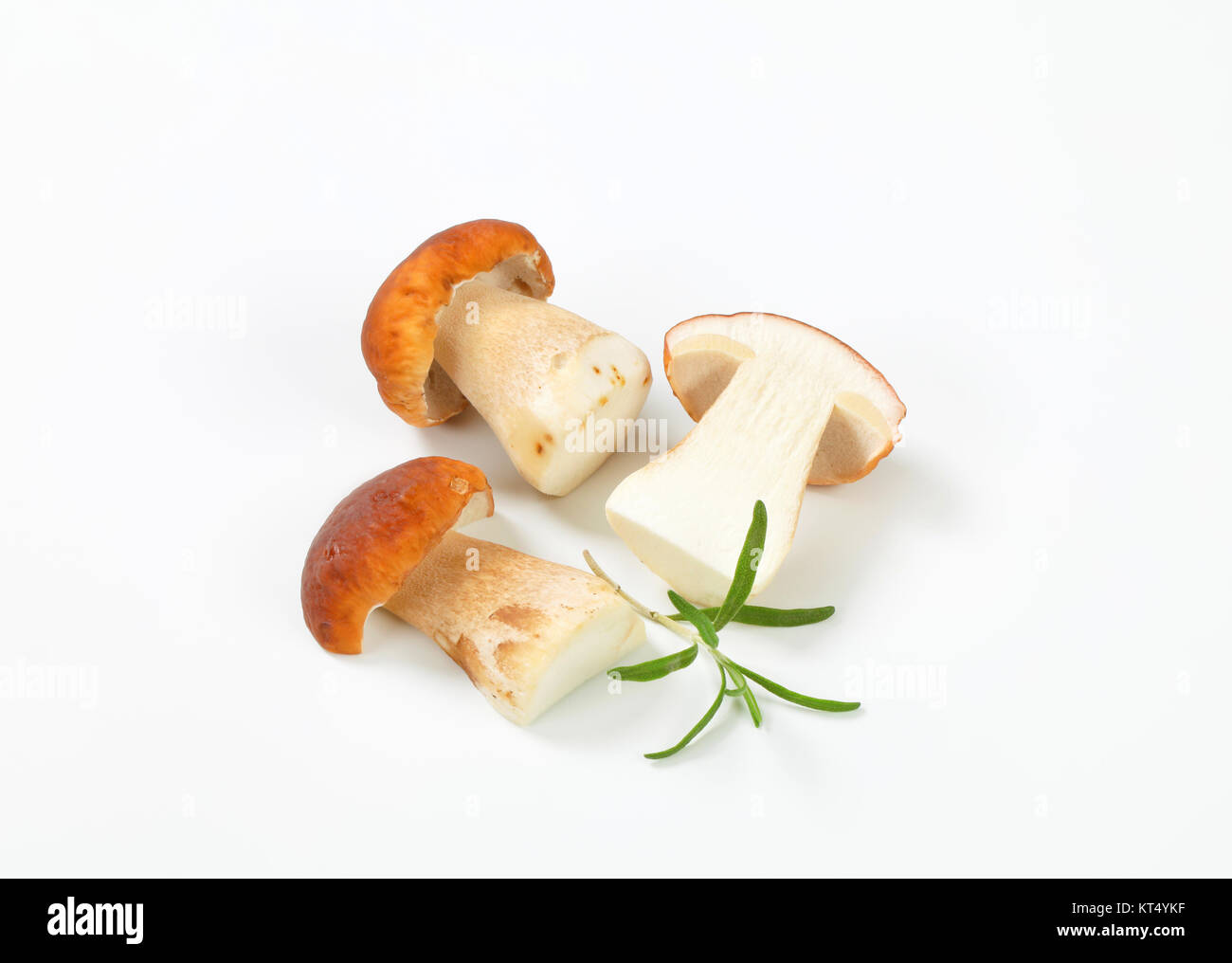 fresh porcini mushrooms Stock Photo - Alamy