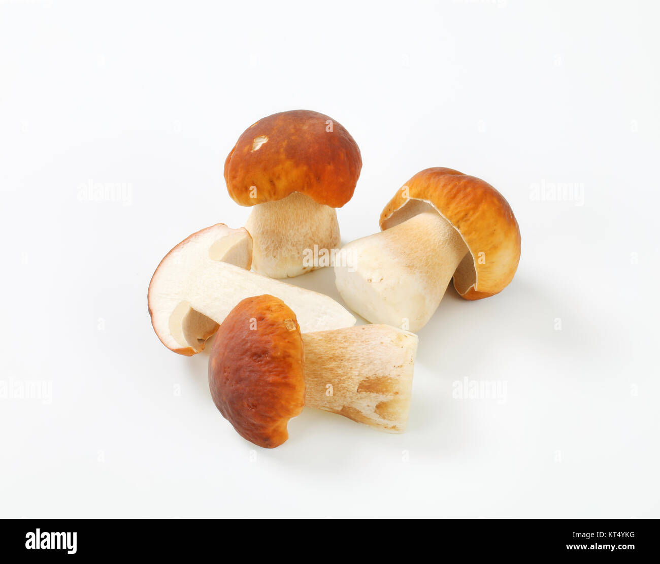 fresh porcini mushrooms Stock Photo - Alamy