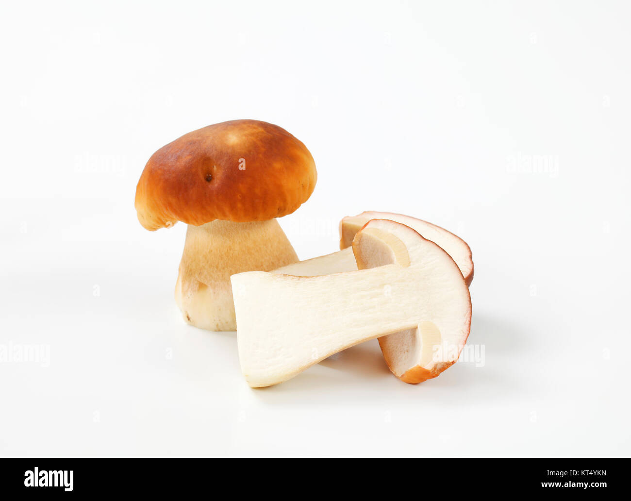 fresh porcini mushrooms Stock Photo - Alamy