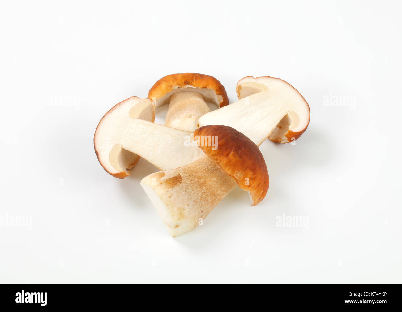 fresh porcini mushrooms Stock Photo - Alamy