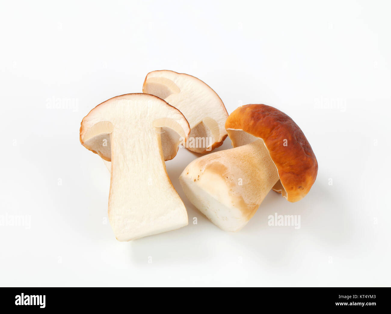 fresh porcini mushrooms Stock Photo - Alamy