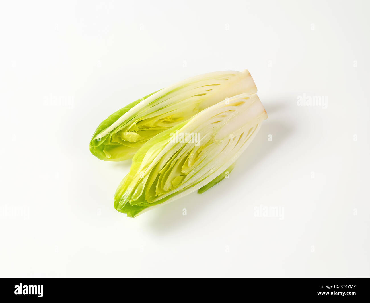 fresh Belgian endive Stock Photo - Alamy