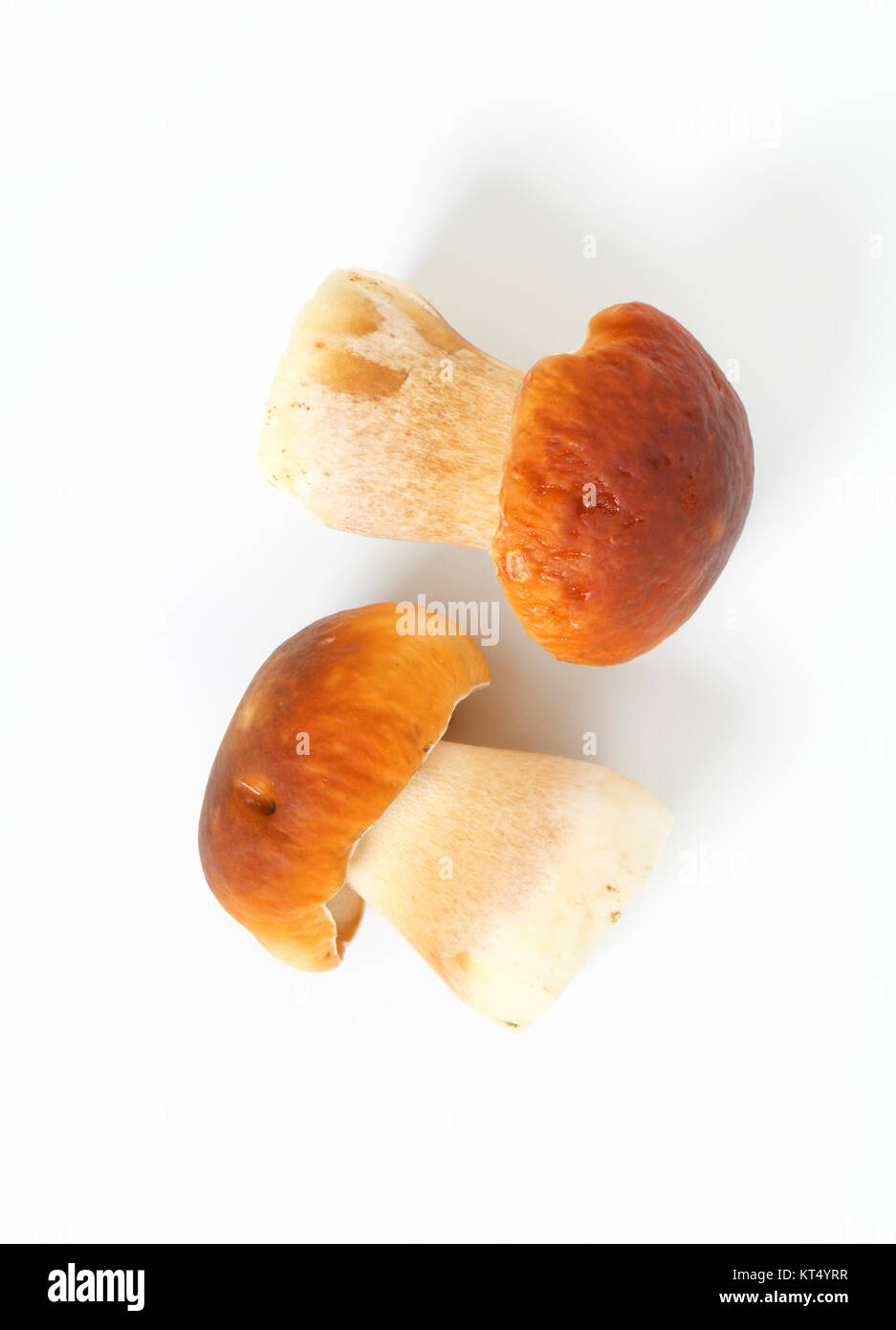 edible bolete mushrooms (ceps Stock Photo - Alamy
