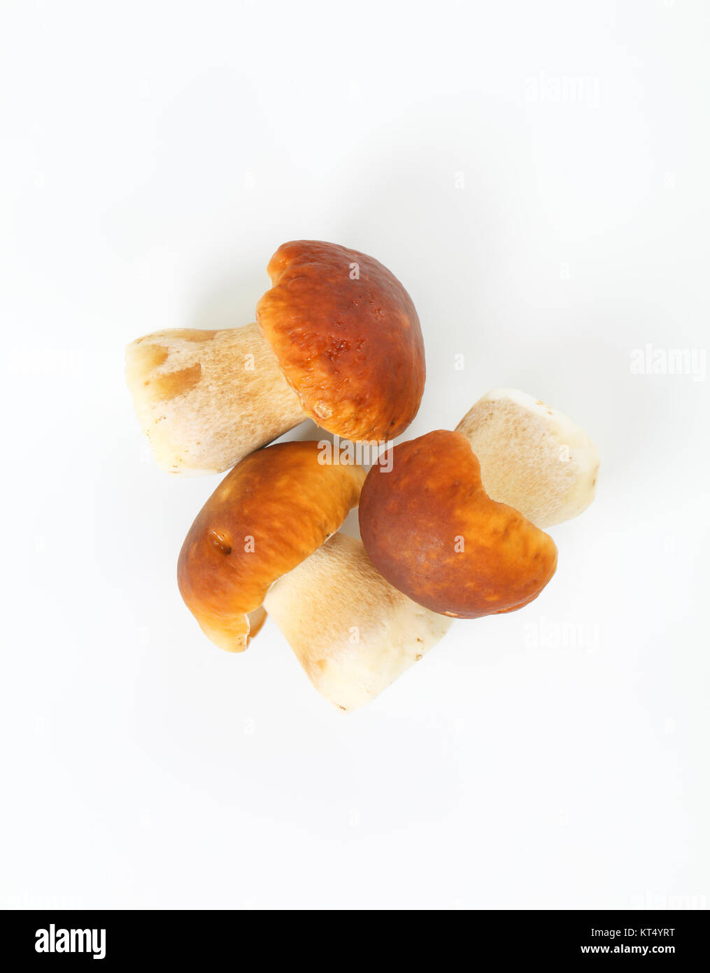 edible bolete mushrooms (ceps Stock Photo - Alamy