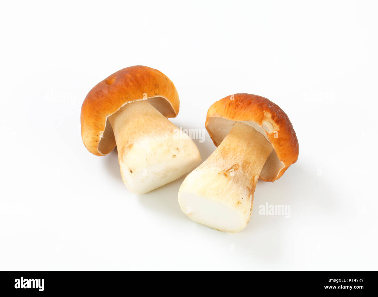 Penny buns Cut Out Stock Images & Pictures - Alamy