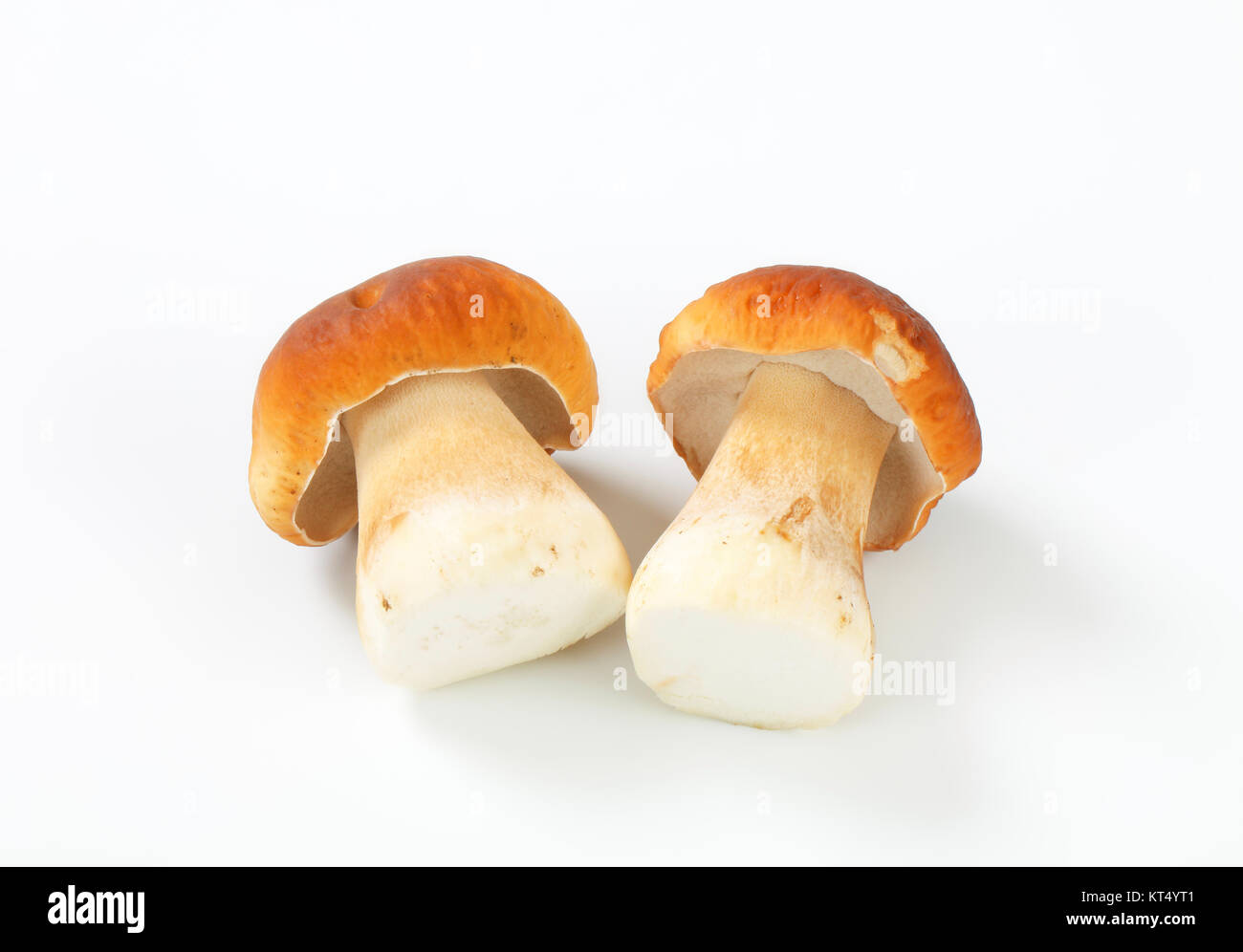 edible bolete mushrooms (ceps Stock Photo - Alamy