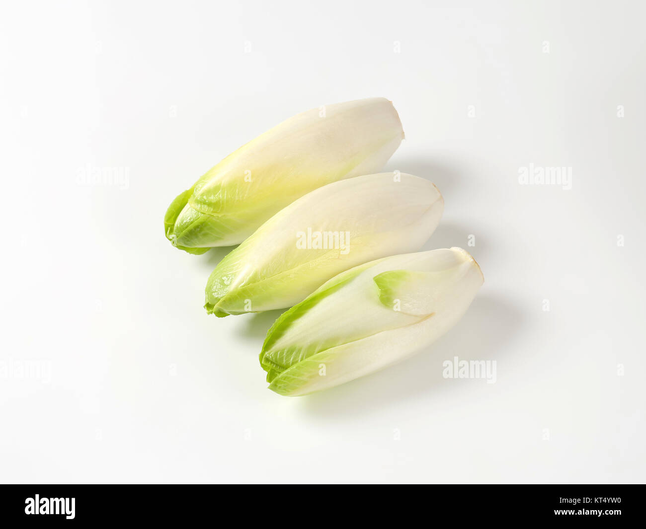 fresh Belgian endive Stock Photo - Alamy