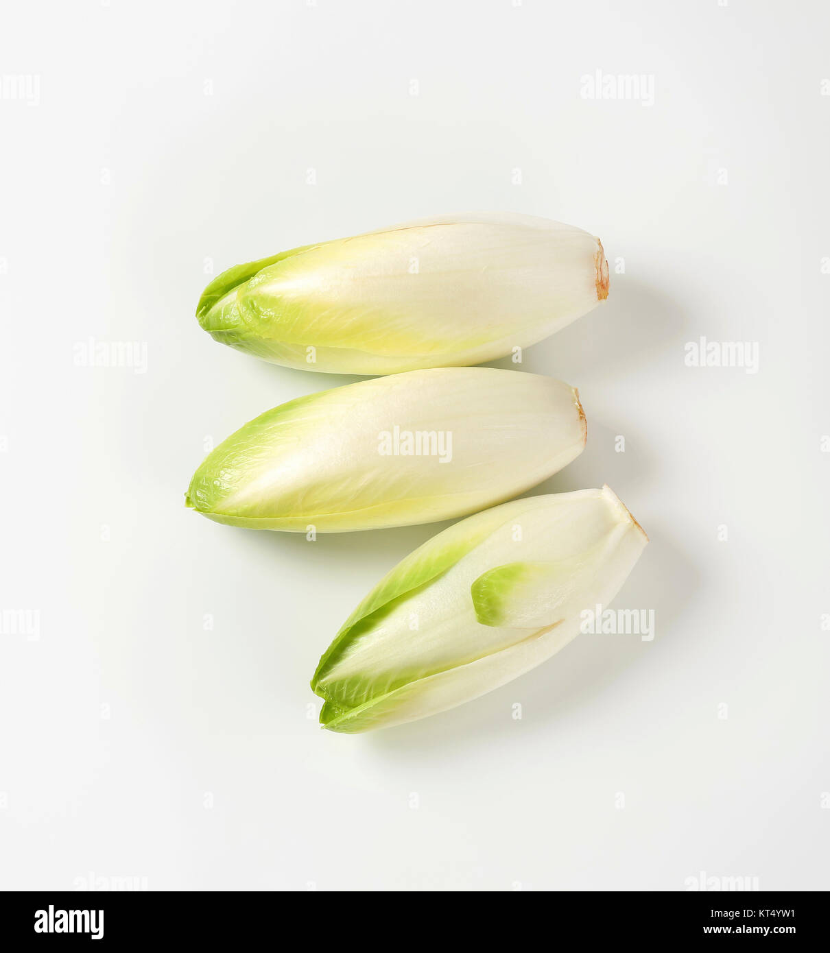 fresh Belgian endive Stock Photo - Alamy