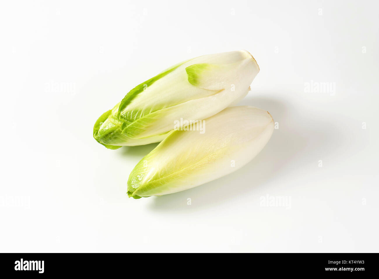 fresh Belgian endive Stock Photo - Alamy
