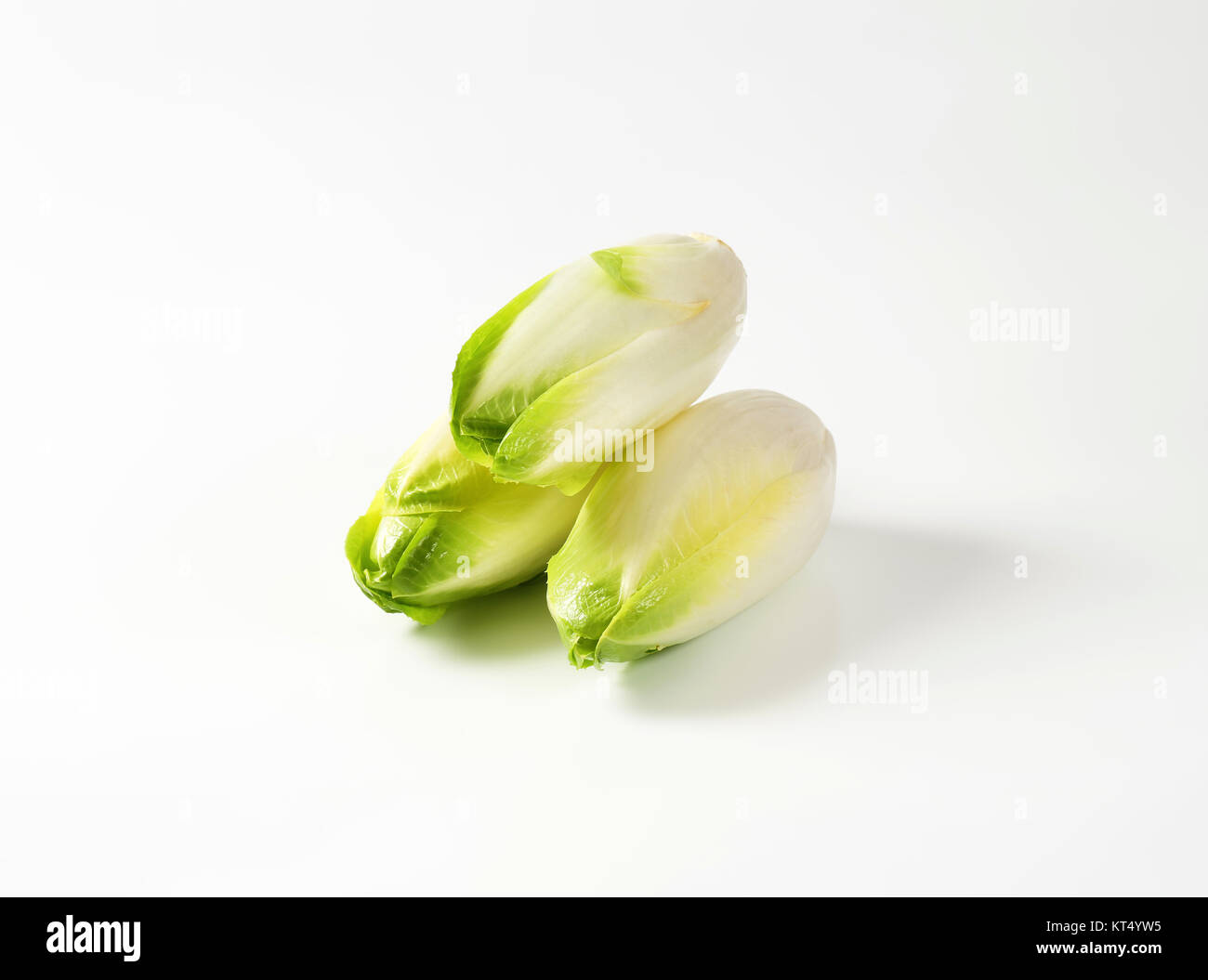 fresh Belgian endive Stock Photo - Alamy