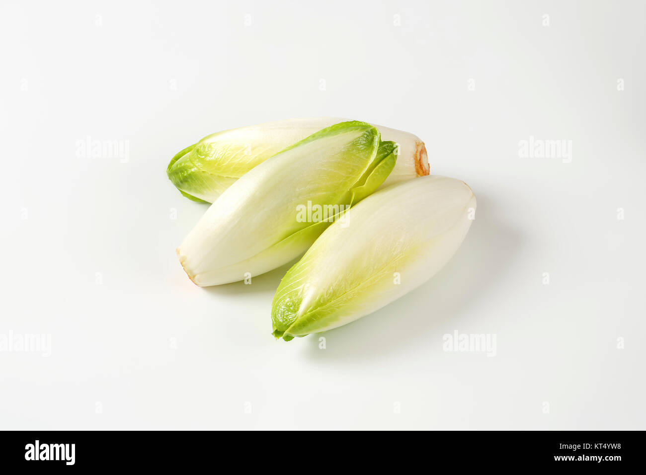 fresh Belgian endive Stock Photo - Alamy