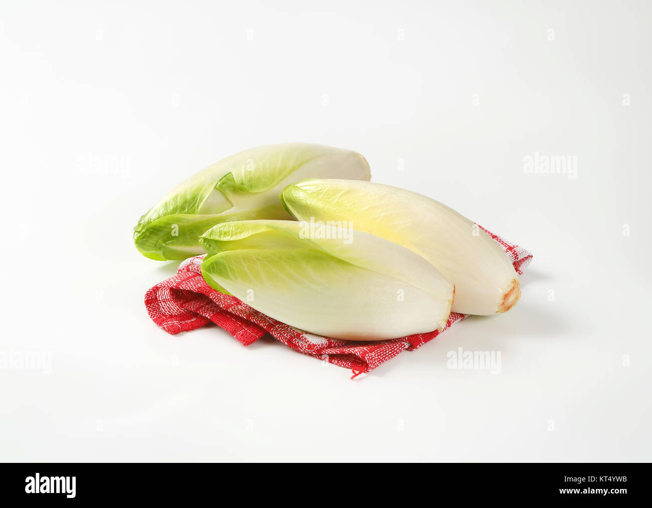 fresh Belgian endive Stock Photo - Alamy