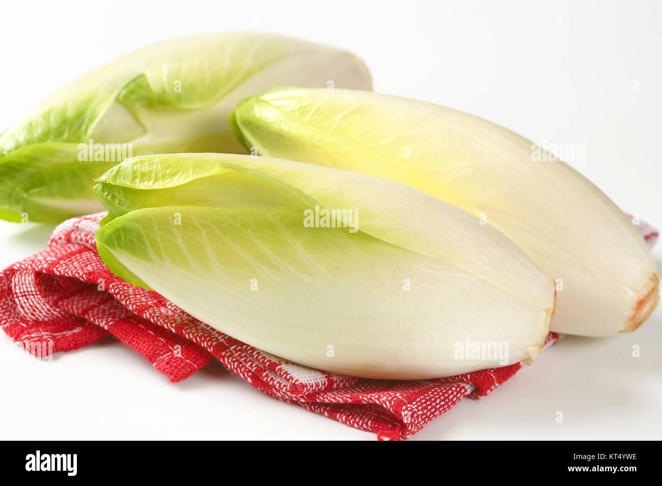 fresh Belgian endive Stock Photo - Alamy