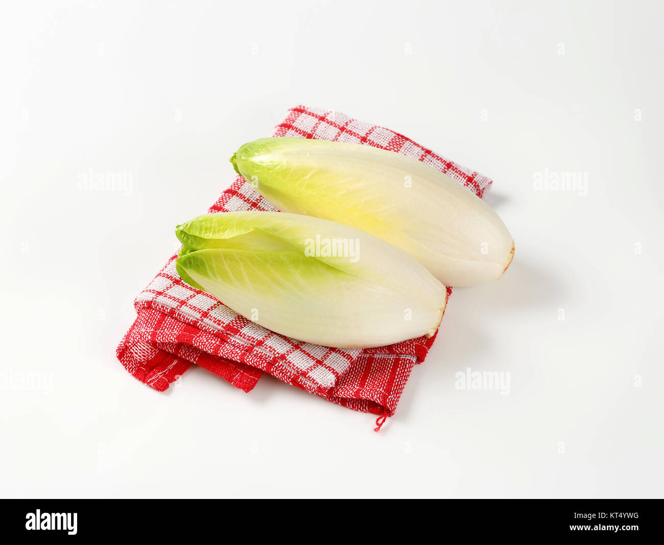 fresh Belgian endive Stock Photo - Alamy