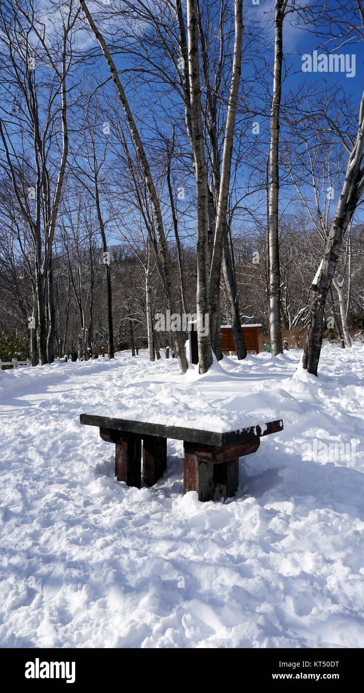 Snow and bench in the walkway forest Noboribetsu onsen Stock Photo - Alamy