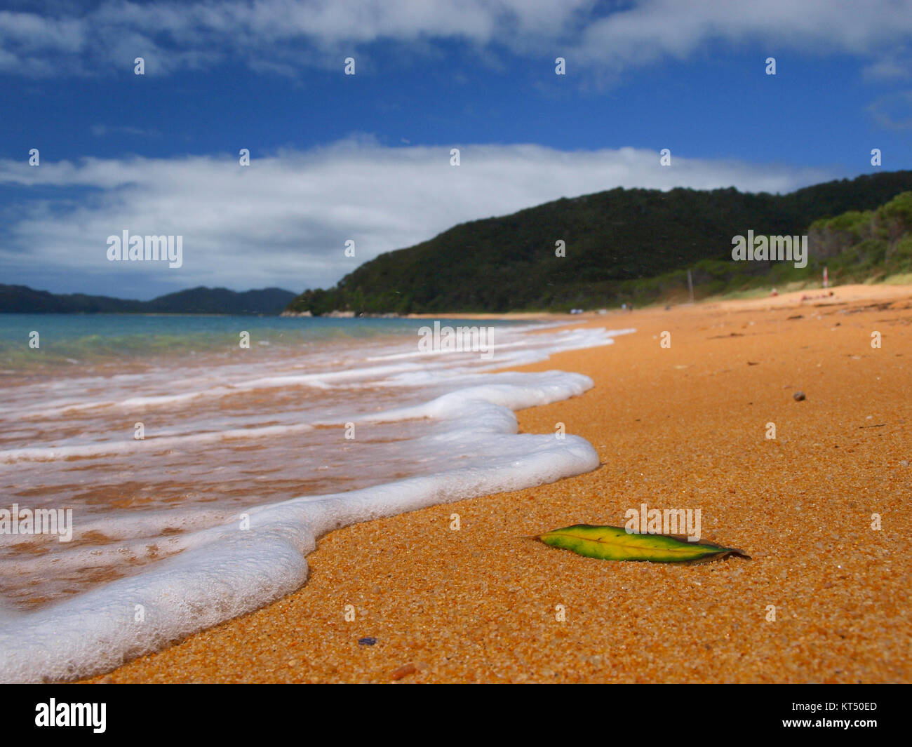 What to see in totaranui hi-res stock photography and images - Alamy