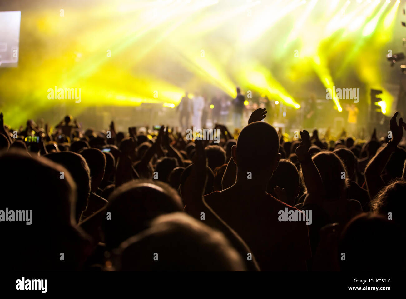 Cheering crowd at a concert Stock Photo - Alamy