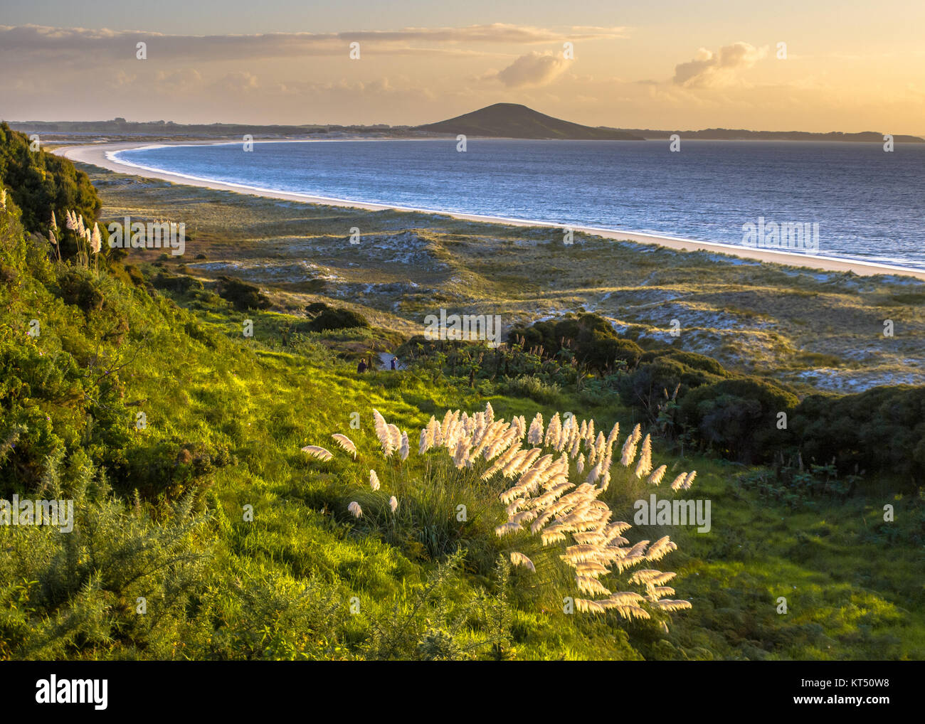 Sunset over Doubtless bay and Rangiputa volcano with dunes and North ...