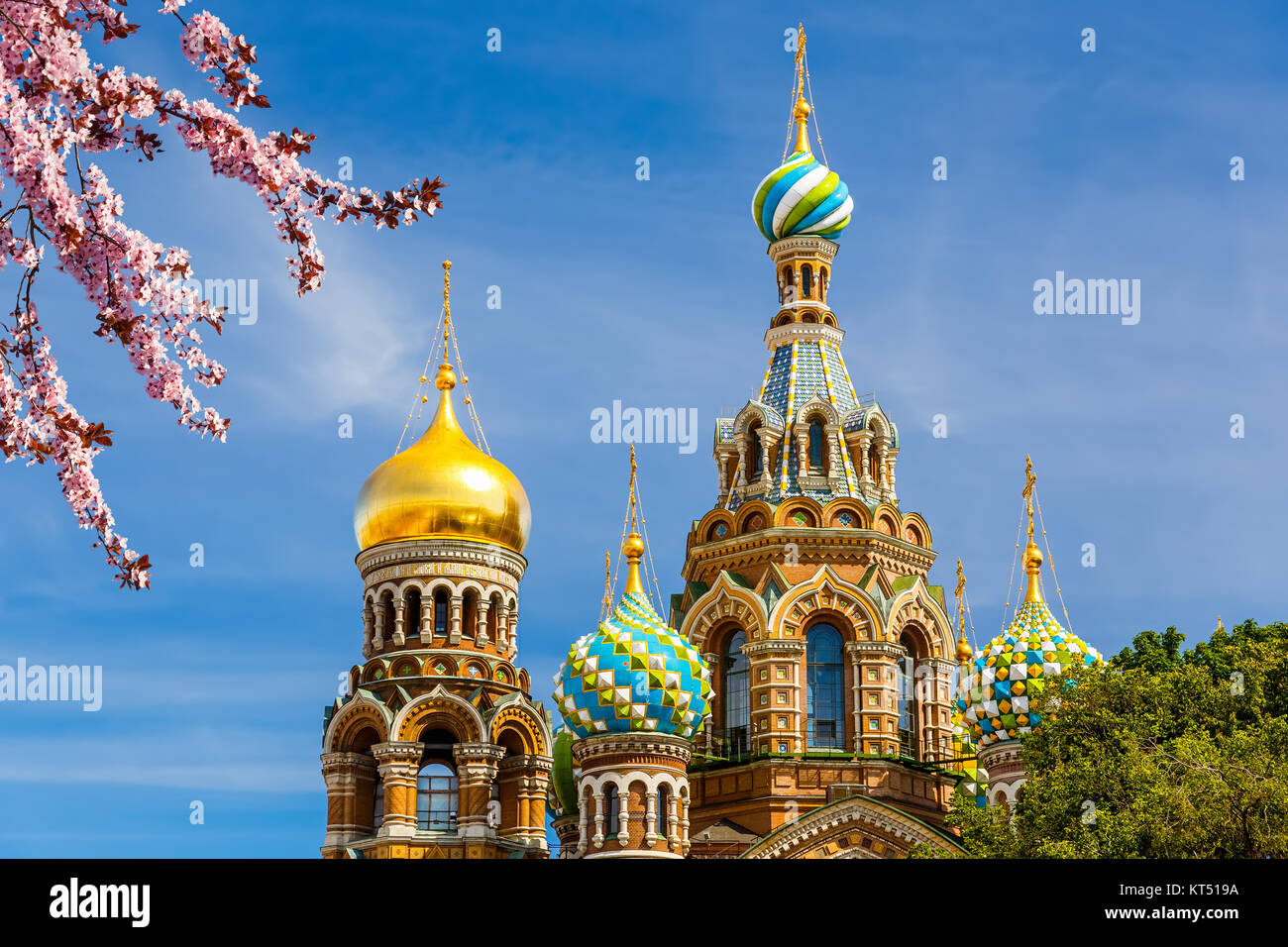 Blood culture hi-res stock photography and images - Alamy