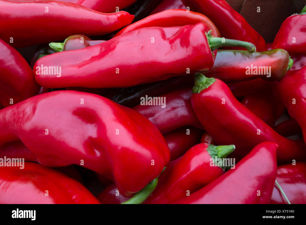 red peppers at the market Stock Photo - Alamy