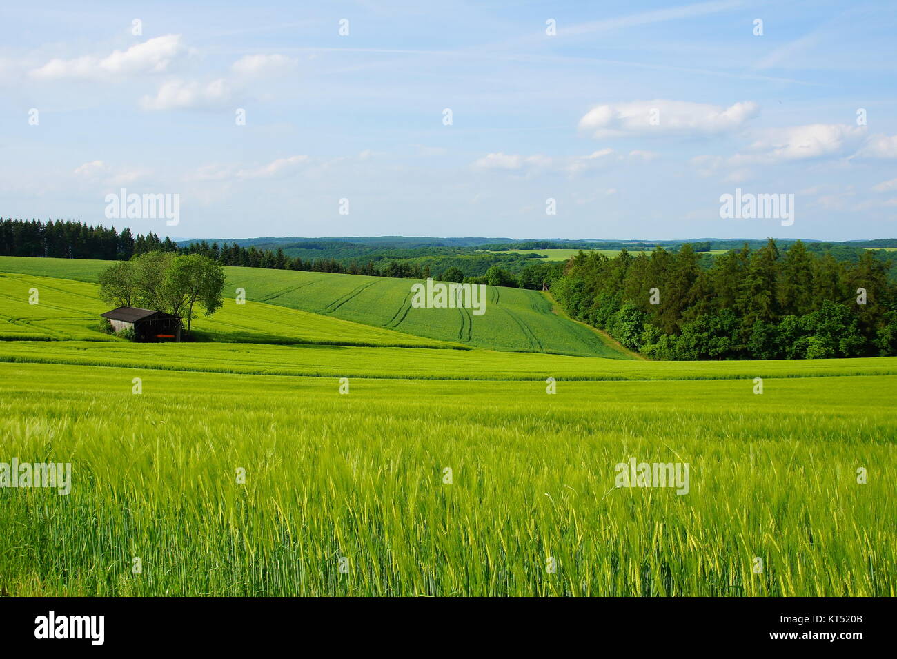 green spring landscape Stock Photo - Alamy
