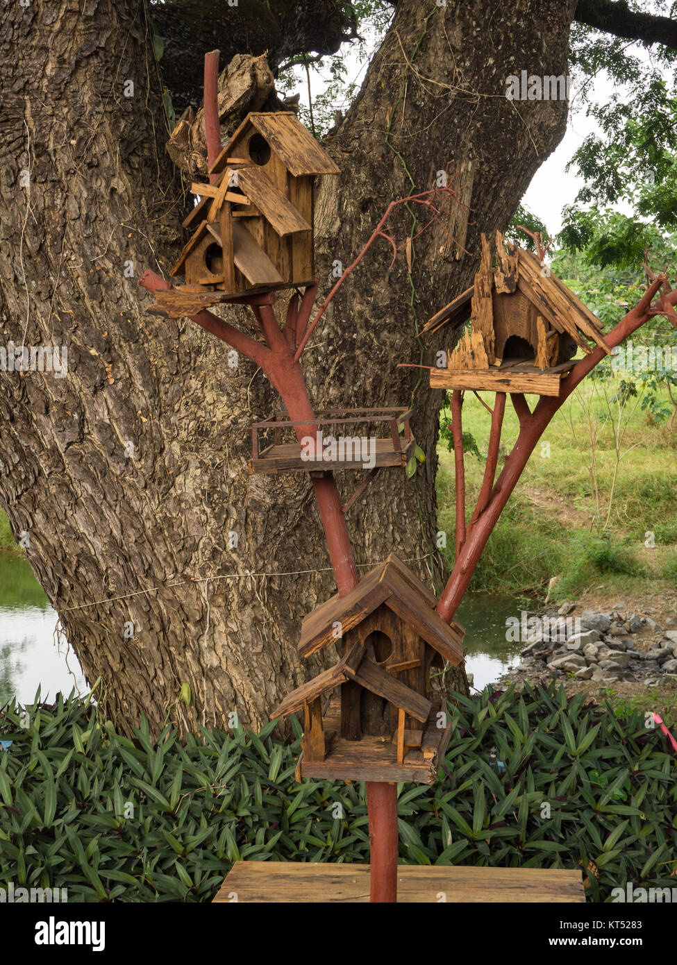 Bird house on the big tree in the park Stock Photo - Alamy