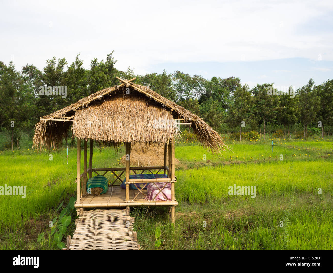 Cottage in the rice field Stock Photo - Alamy