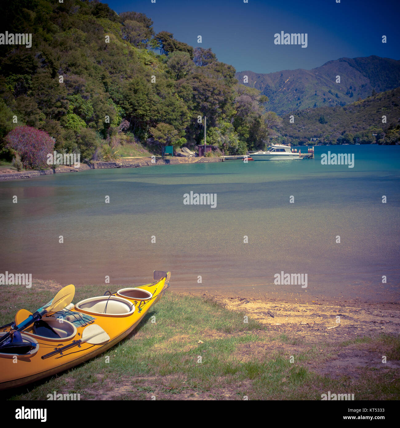 Kayaking is a popular sport in Marlborough sounds, New Zealand Stock ...