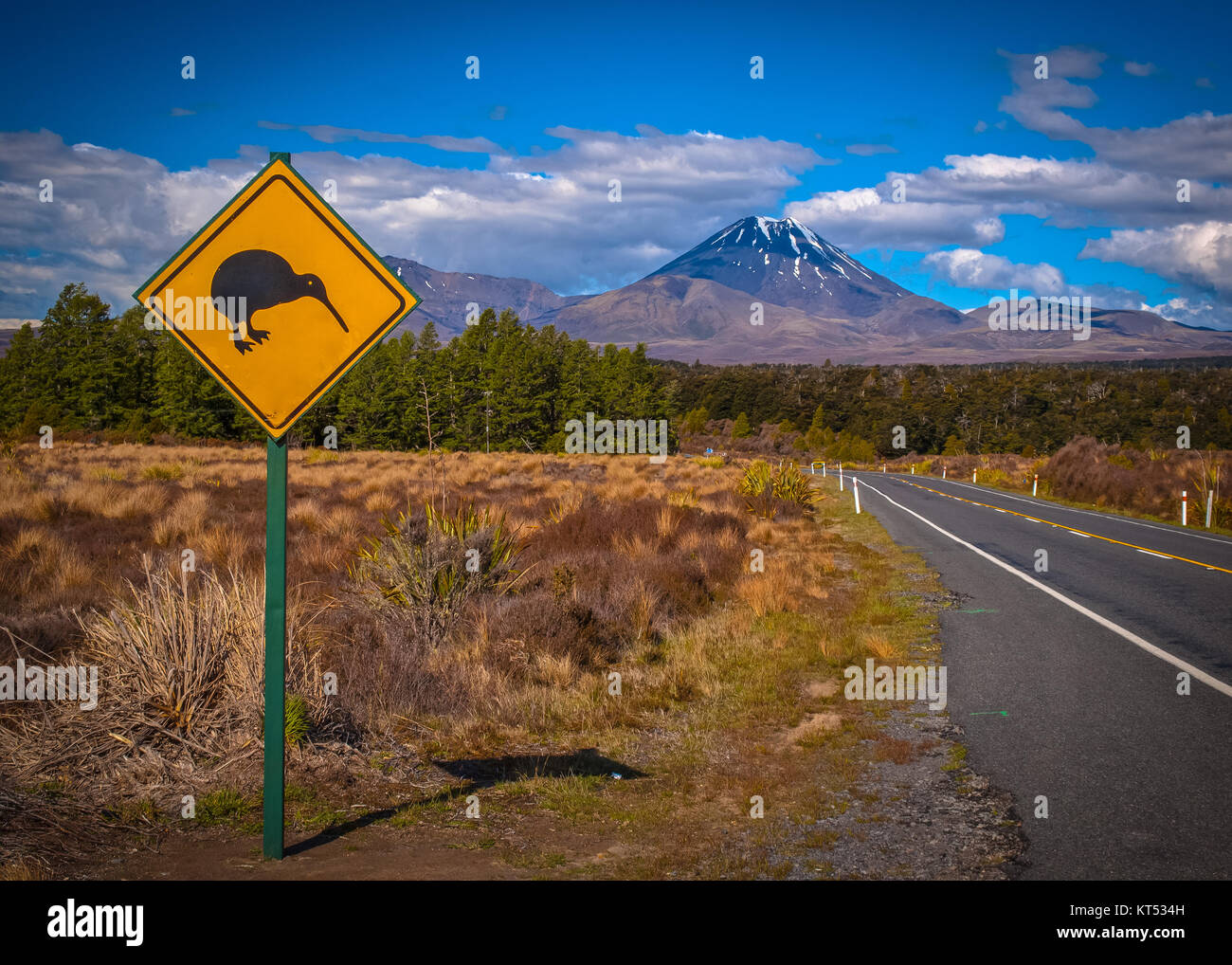 Birds crossing warning sign hi-res stock photography and images - Alamy