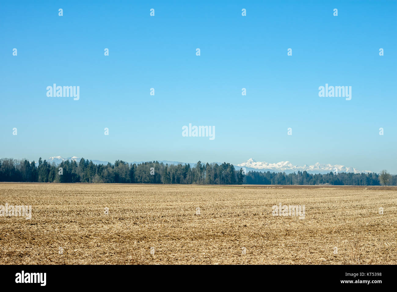 field forest and sky Stock Photo - Alamy