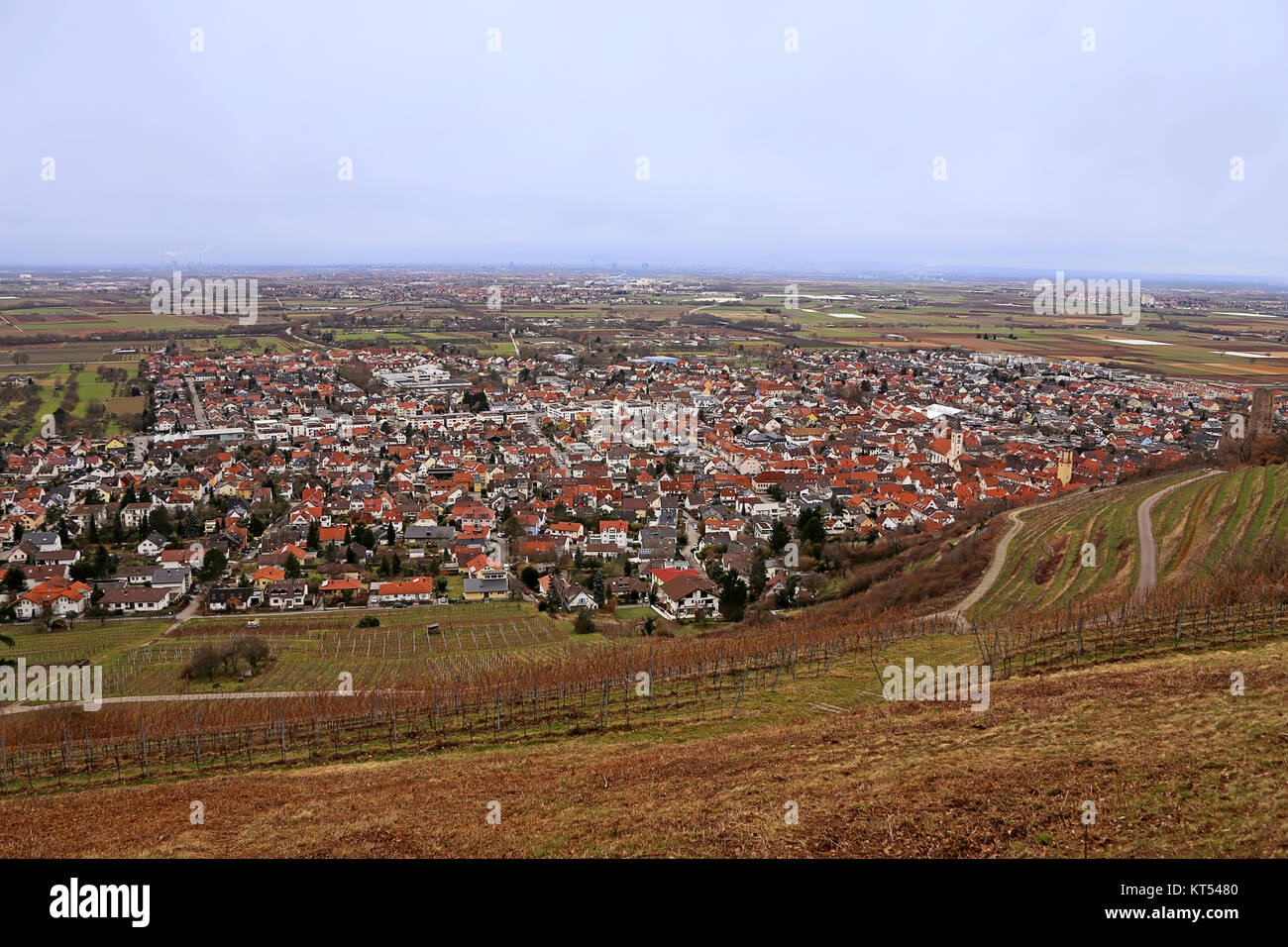 view of schriesheim on the mountain road in the direction of mannheim ...