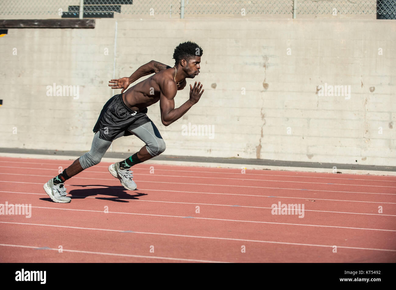 Muscular Jamaican athlete leaning forward for momentum while sprinting ...