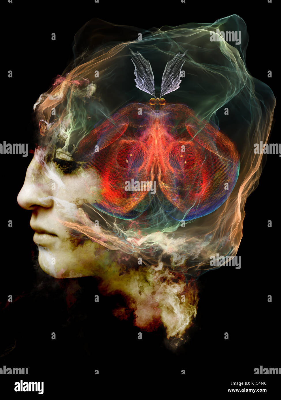 Inner Life of Your Shadow Stock Photo - Alamy