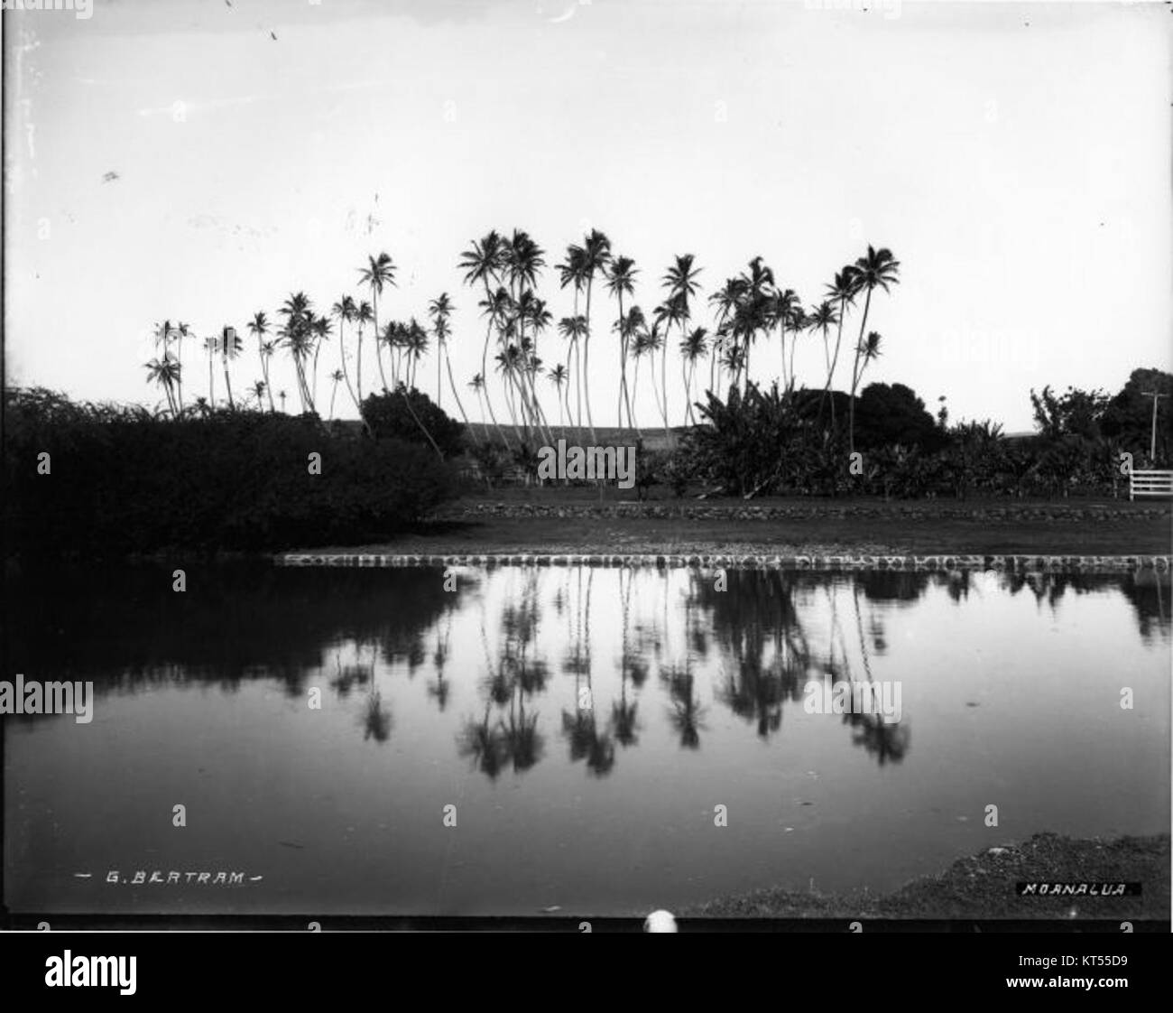 A photograph of Moanalua, captured by Brother Bertram, depicting a ...