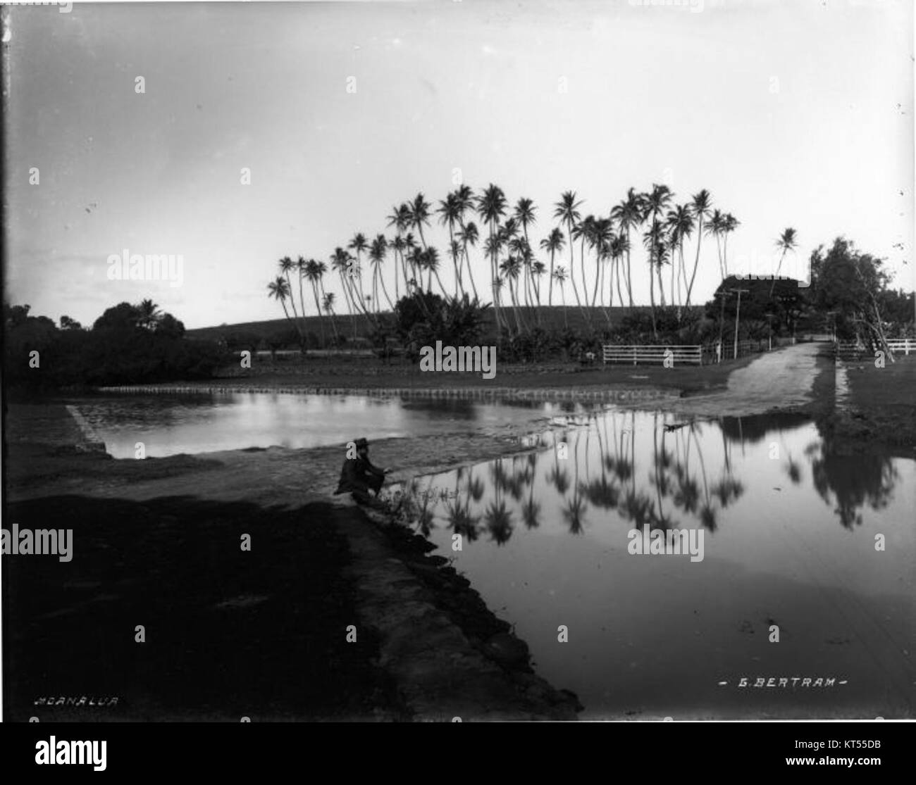 Moanalua hi-res stock photography and images - Alamy