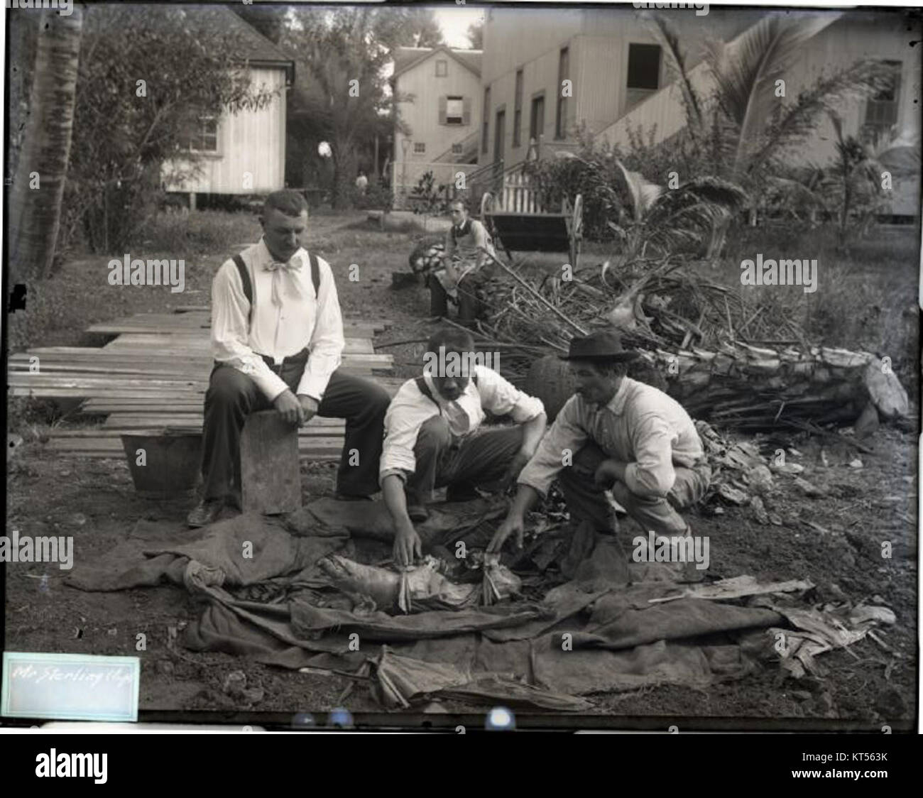 Historical candid shot hi-res stock photography and images - Alamy