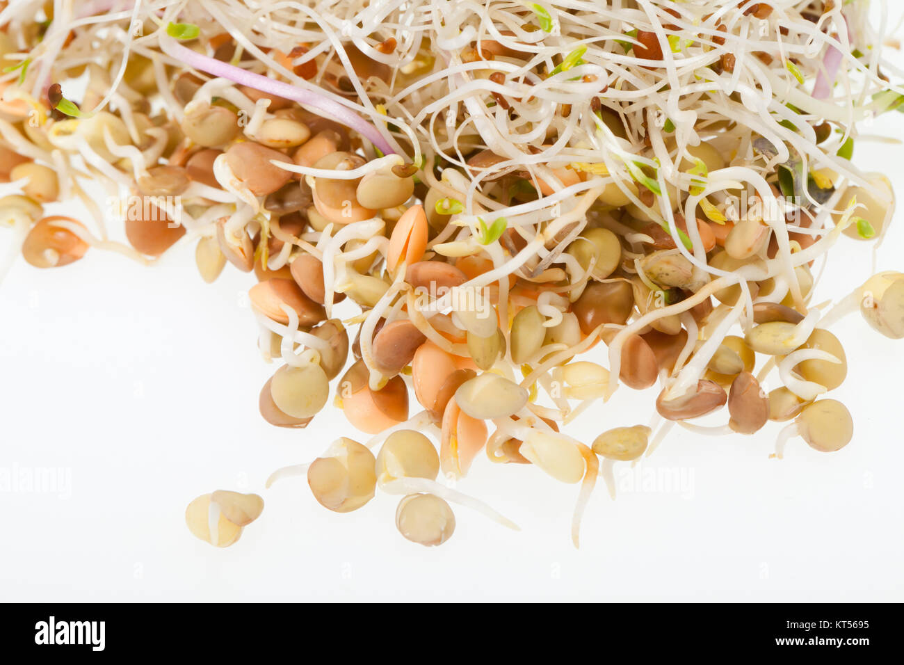 The healthy diet. Fresh sprouts isolated on white background Stock ...