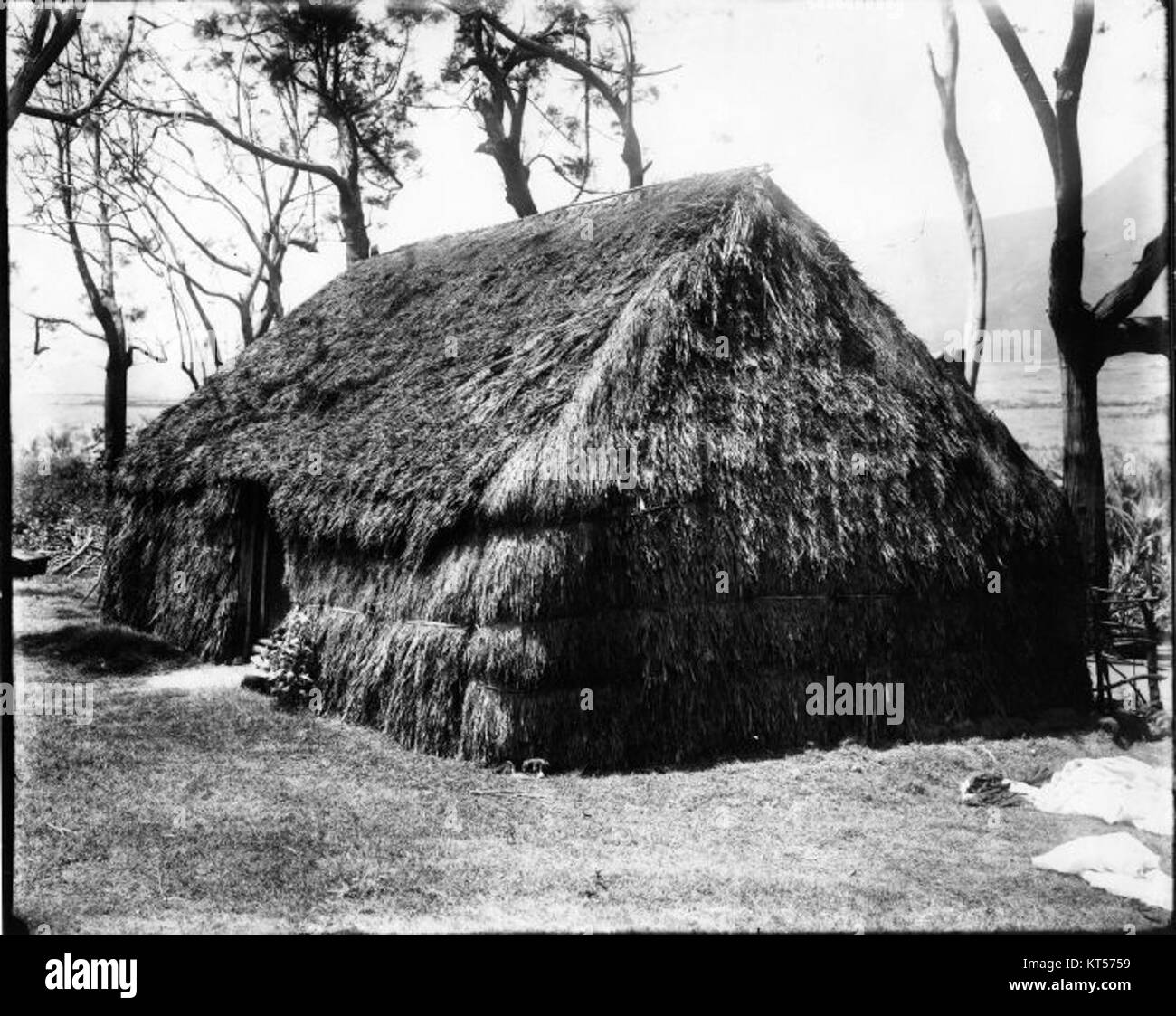 This photograph by Brother Bertram showcases a native grass house ...