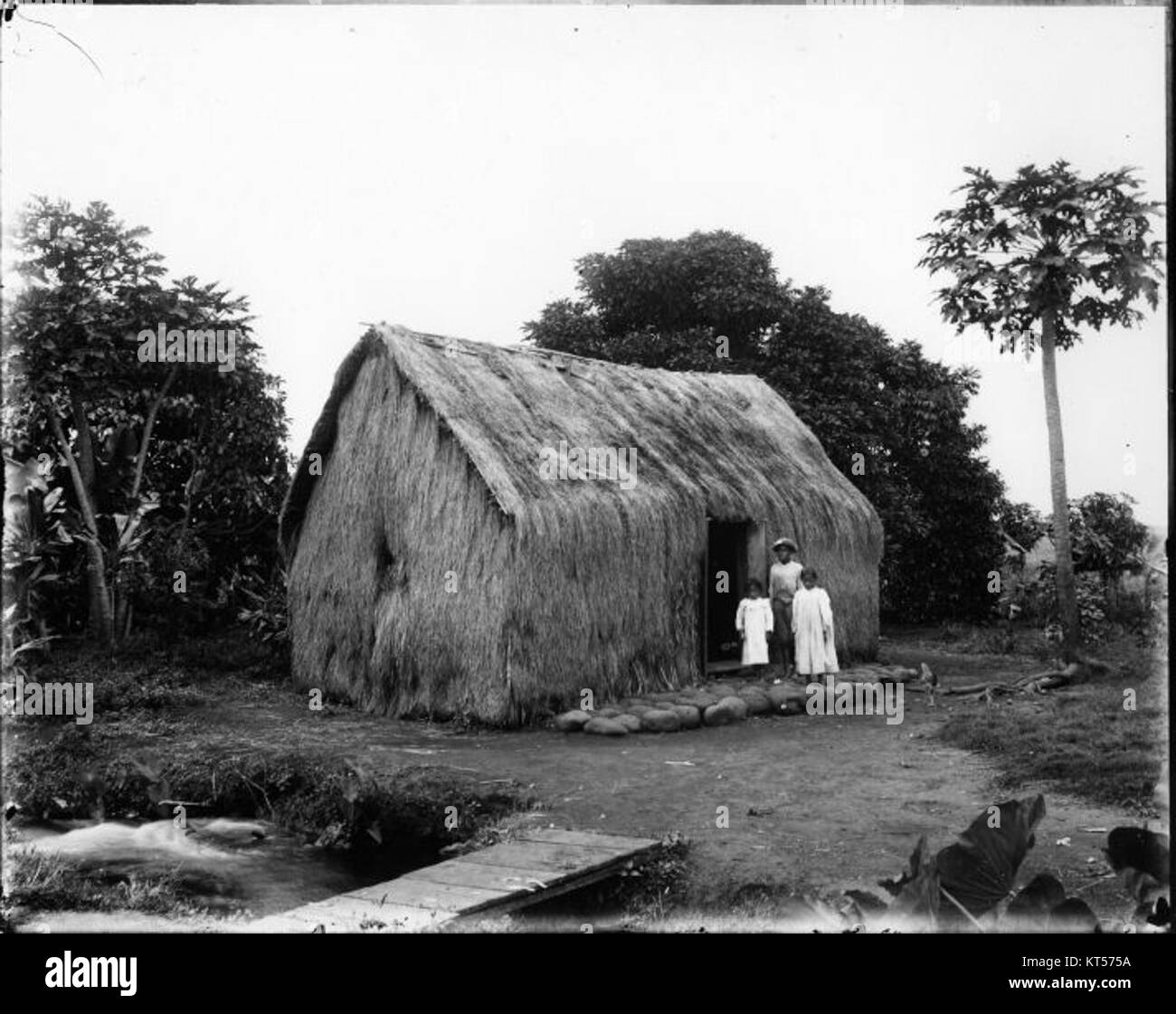 A photograph by Brother Bertram of a Native Grass House, showcasing ...