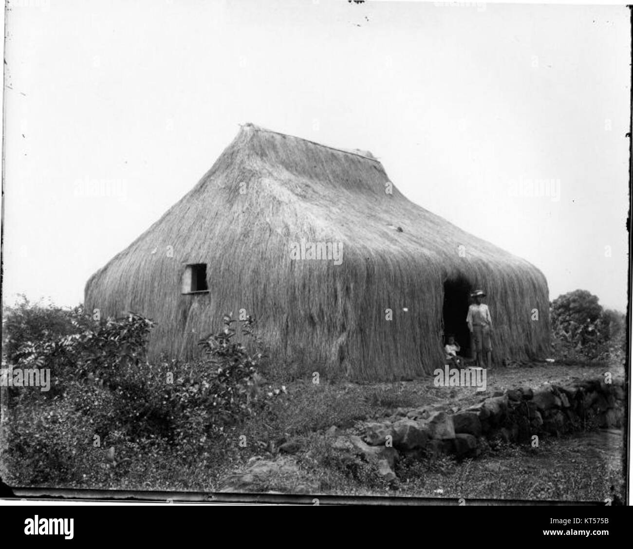 This photograph, taken by Brother Bertram, captures the Native Grass ...