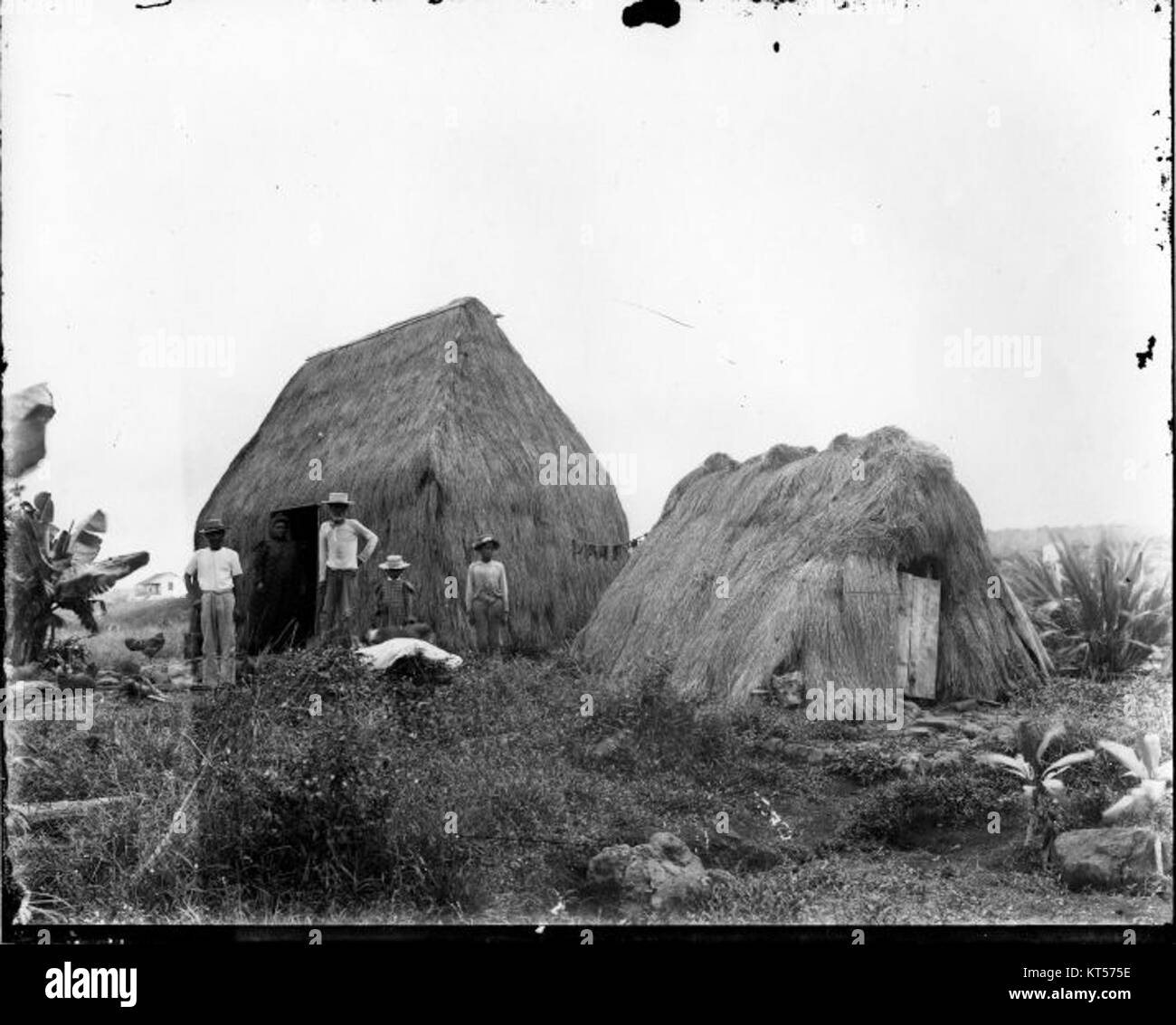 The 'Native Grass House (09)' photograph by Brother Bertram captures ...