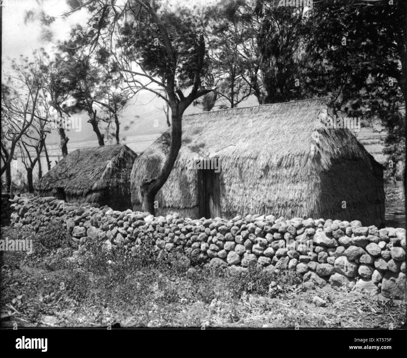 This photograph by Brother Bertram depicts a Native Grass House, a ...